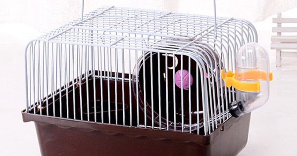 Pet Hamster Cage With Running Wheel Water Bottle Food Basin House Mice ...