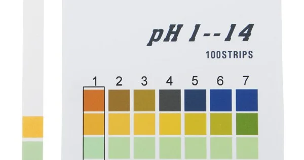 Universal PH Test Strips Full Range 1-14 Indicator Paper Tester 100 ...