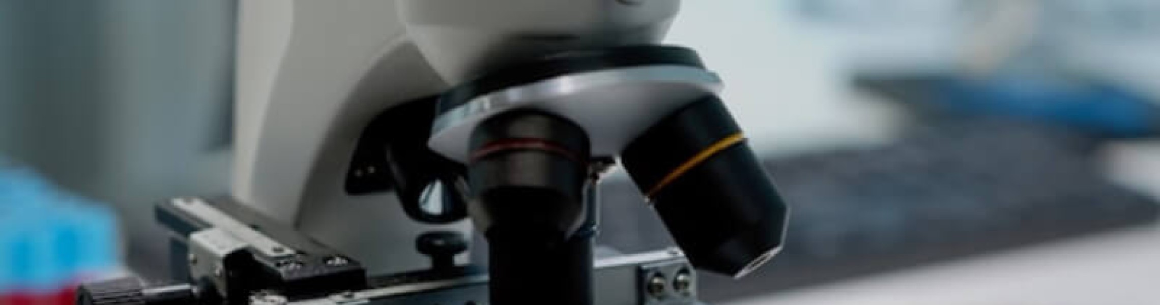 Posted By admin 0 Comment(s) 612 View(s) Lab & Scientific Supplies