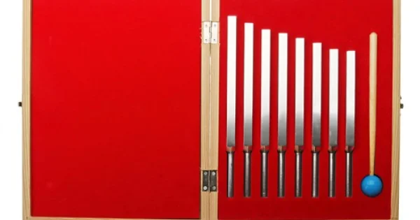 The Best Online Music Teaching Tools for Teachers and Students | MoonZite