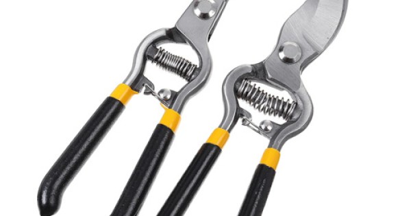 Best Garden Scissors for Cutting, Pruning, Deadheading Shop Online ...